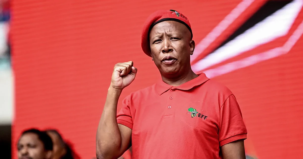 South African opposition leader calls prison a “Badge of Honour ...