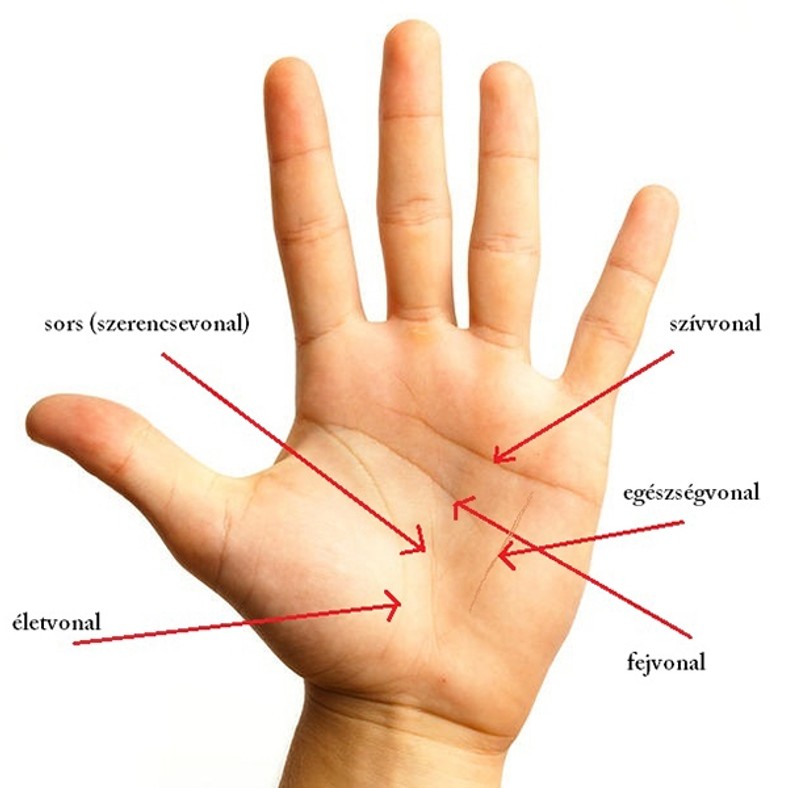 Milyen sors van a tenyeredbe írva? - Blikk Rúzs