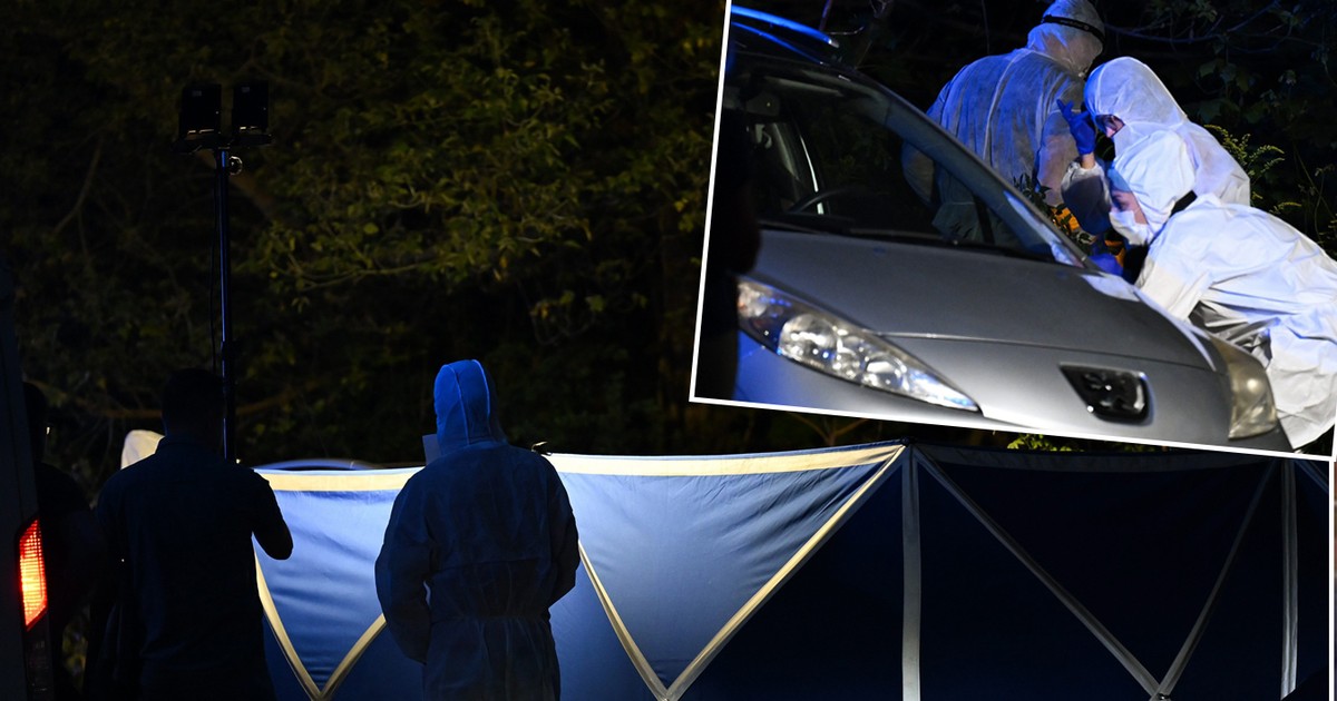 Zwłoki kobiety w Oliwie w Gdańsku. Trwa obława za sprawcą