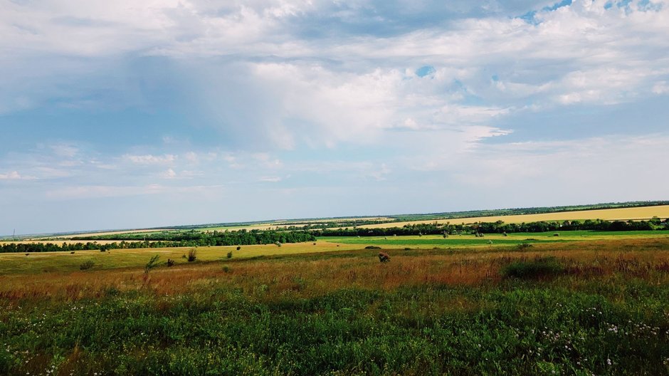 Europa przed H. sapiens – połowę kontynentu zajmowały stepy - Informacje