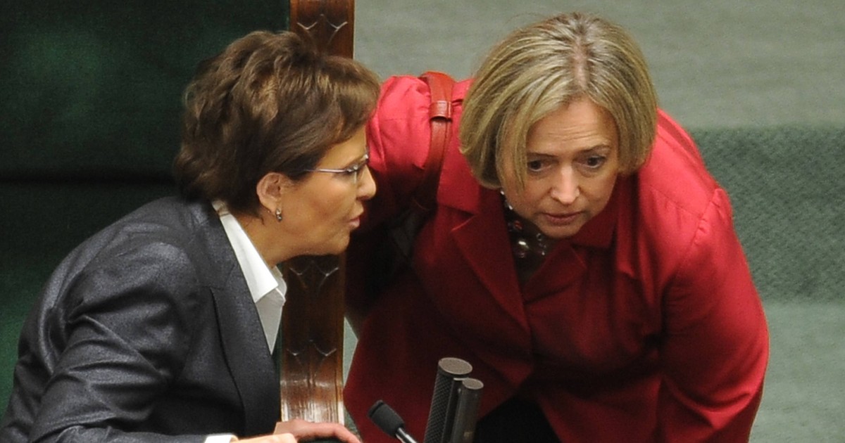 Wanda Nowicka pójdzie do...