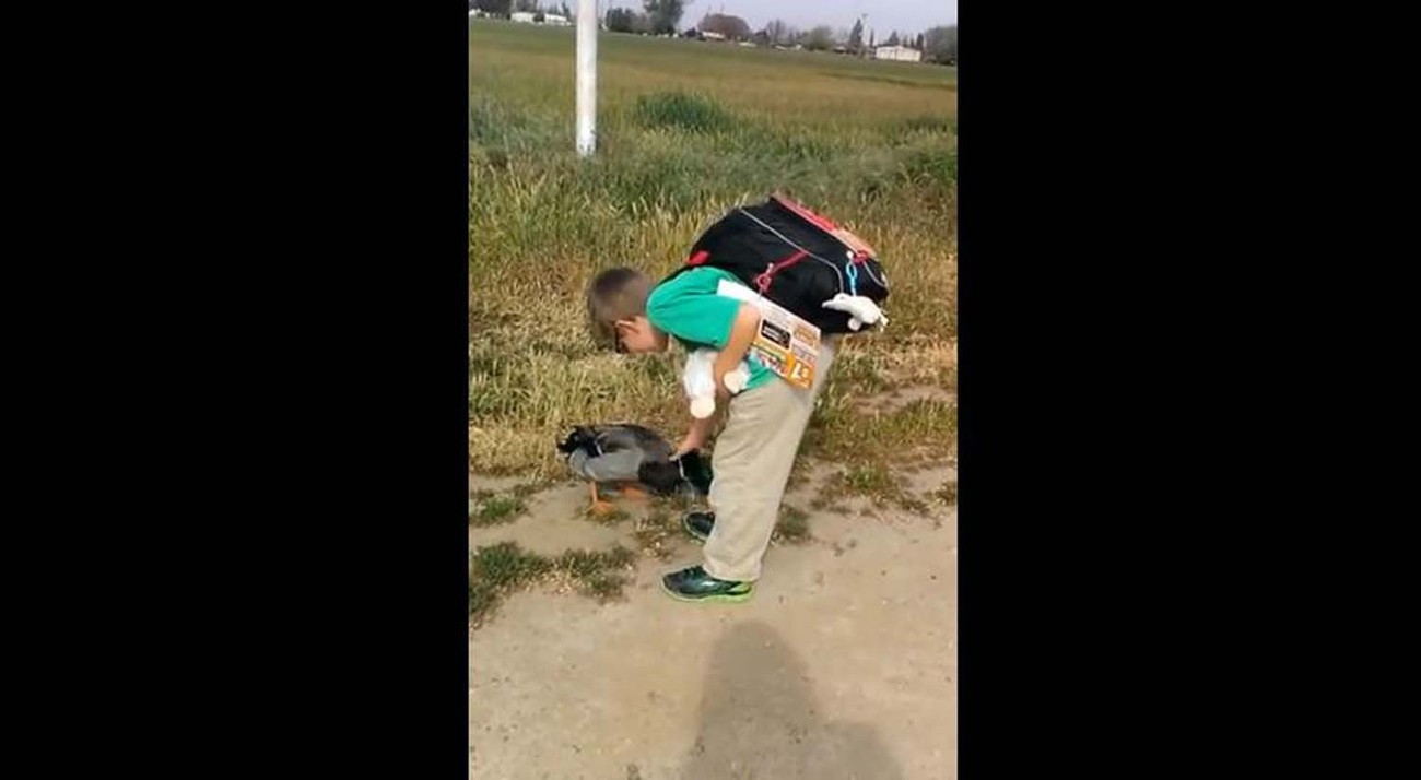 Upoznajte najsrećniju patku na svetu - Blic