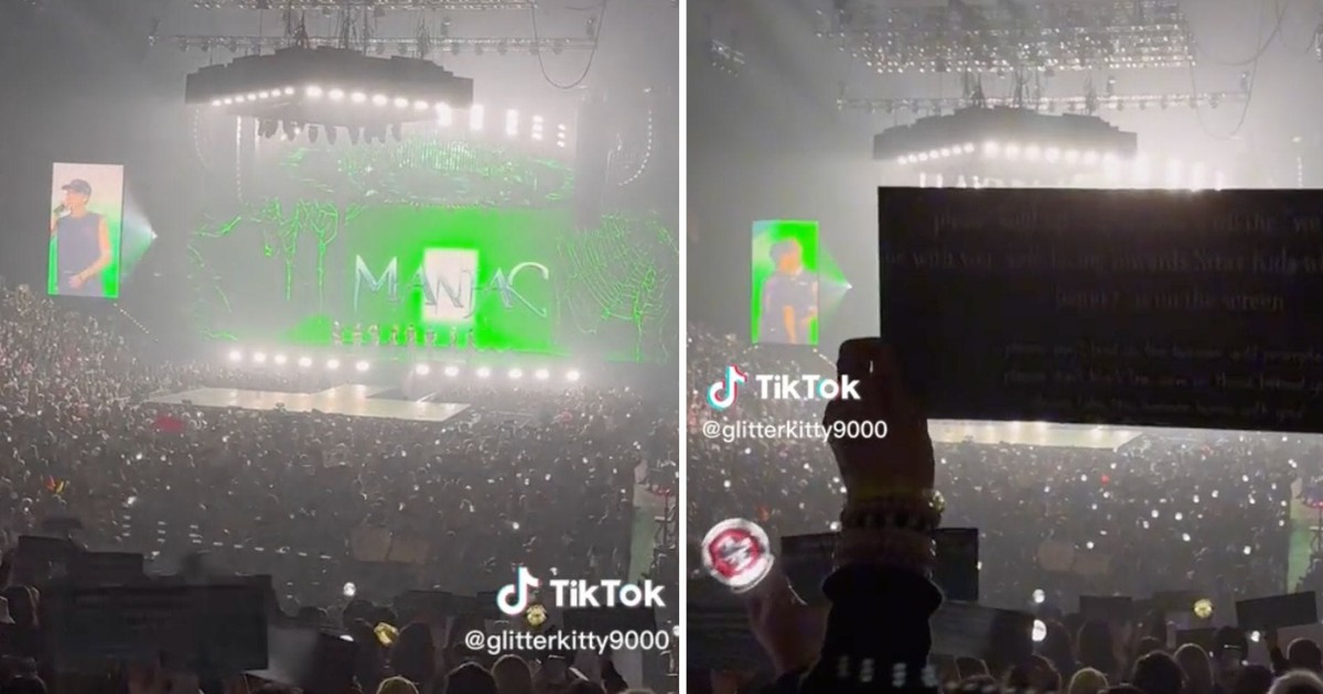 A concert-goer filmed a fan who blocked their view of the stage with a ...