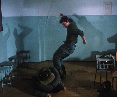 "Samowolka" i "Pograbek" powracają na DVD - Plejada.pl