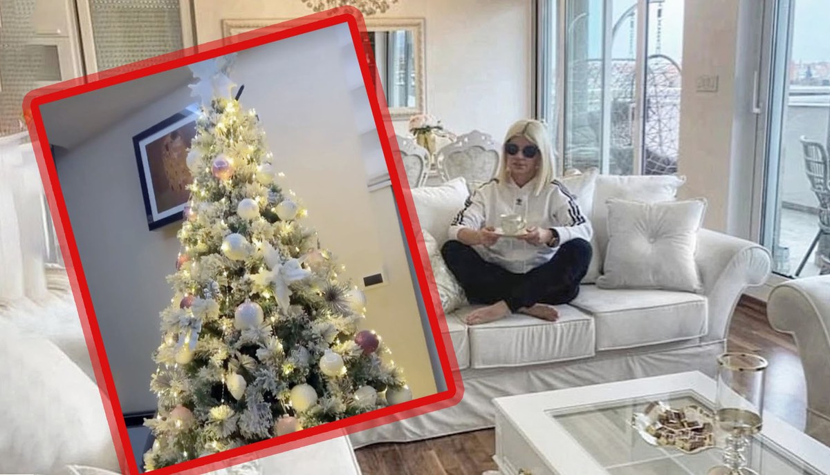 (Foto) Dara Bubamara otvorila vrata doma: Jelka duplo veća od nje, umetničke slike po zidovima ...