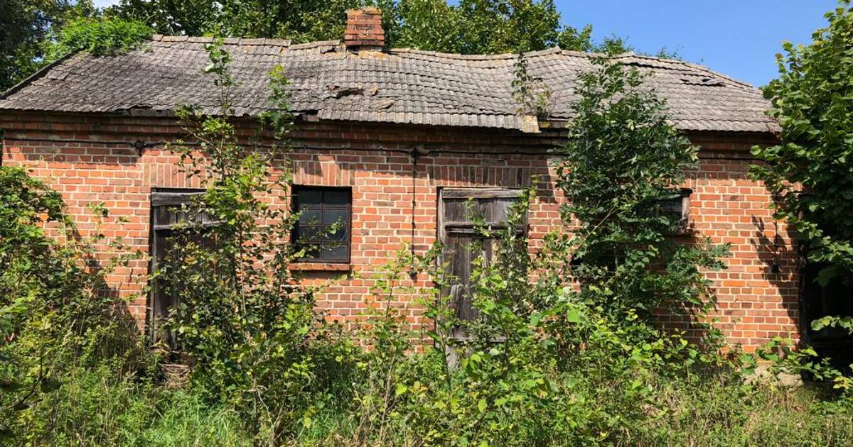 Polscy ruinersi robią dom z obory. "Nie wyczuwamy zapachów" - Noizz