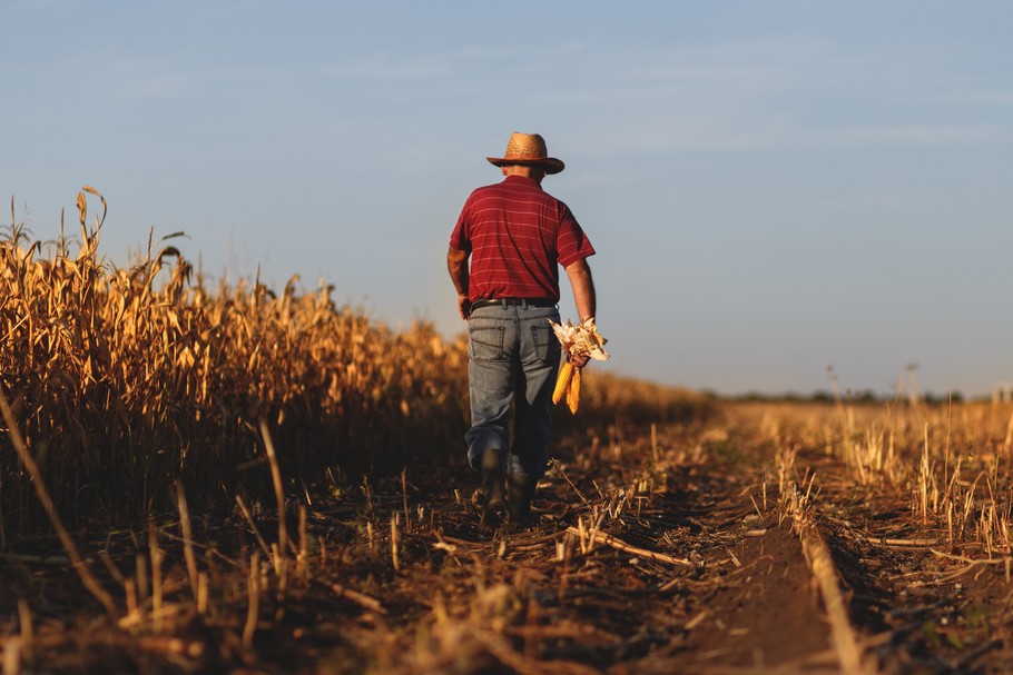 Ceny w górę, a rolnicy coraz biedniejsi. Dlaczego w Polsce nie opłaca ...