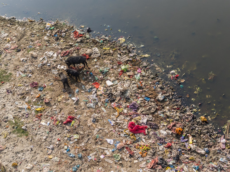Najbrudniejsze rzeki świata. Zbiorowe mogiły z toksyczną pianą [ZDJĘCIA ...
