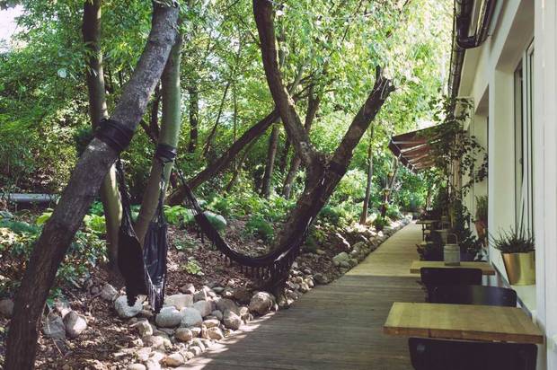 Agrykola, Warmut, Las nowe miejsca w Warszawie