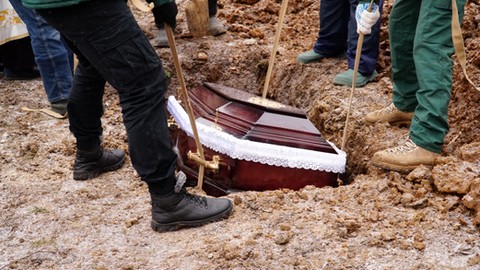 Papier toaletowy Pakosław, Sok Sebek. Nowy gang pluszaków w Biedronce ...