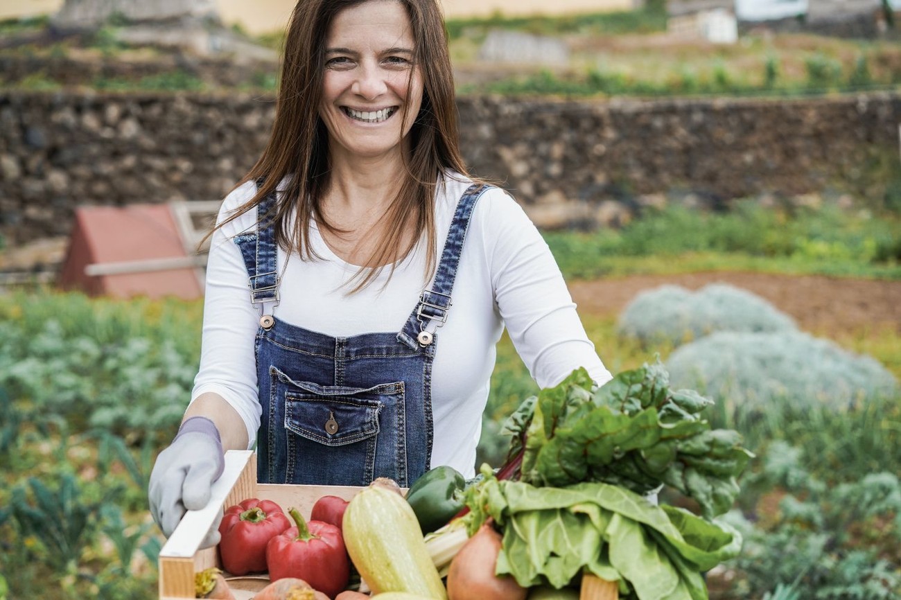 NLB Organic konkurs: Prilika za najbolje organske projekte sa nagradama do 3 miliona dinara