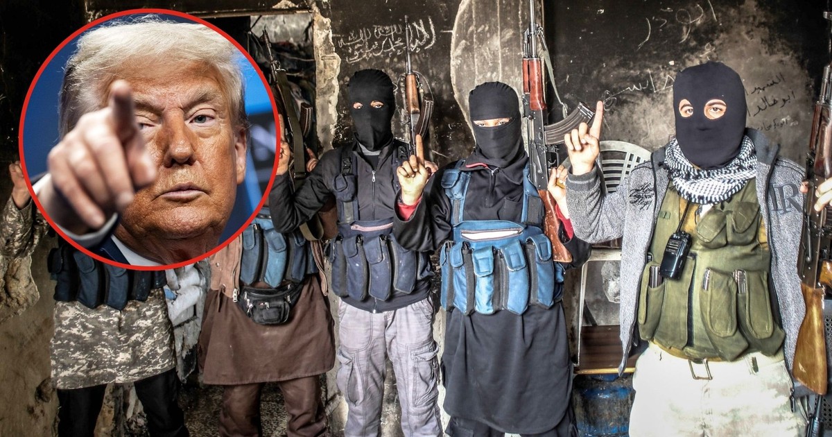 Powrót Al-Kaidy. Ekspert: Trump może postawić na taktykę "koszenia ...