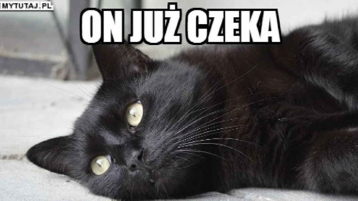 Najśmieszniejsze memy na piątek 13. Rozbawią was do łez - Kobieta