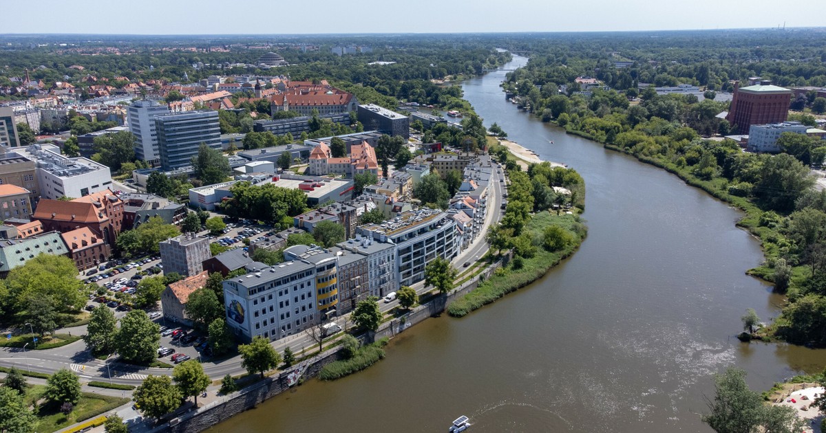 Złote algi znowu w Odrze. Ogłoszono pierwszy stopień zagrożenia