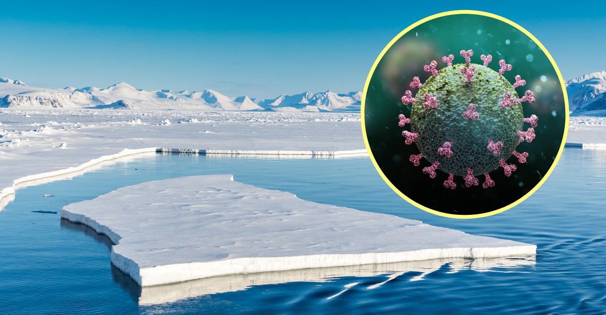 Naukowcy ostrzegają przed groźbą przerażającej pandemii. Winne "wirusy ...