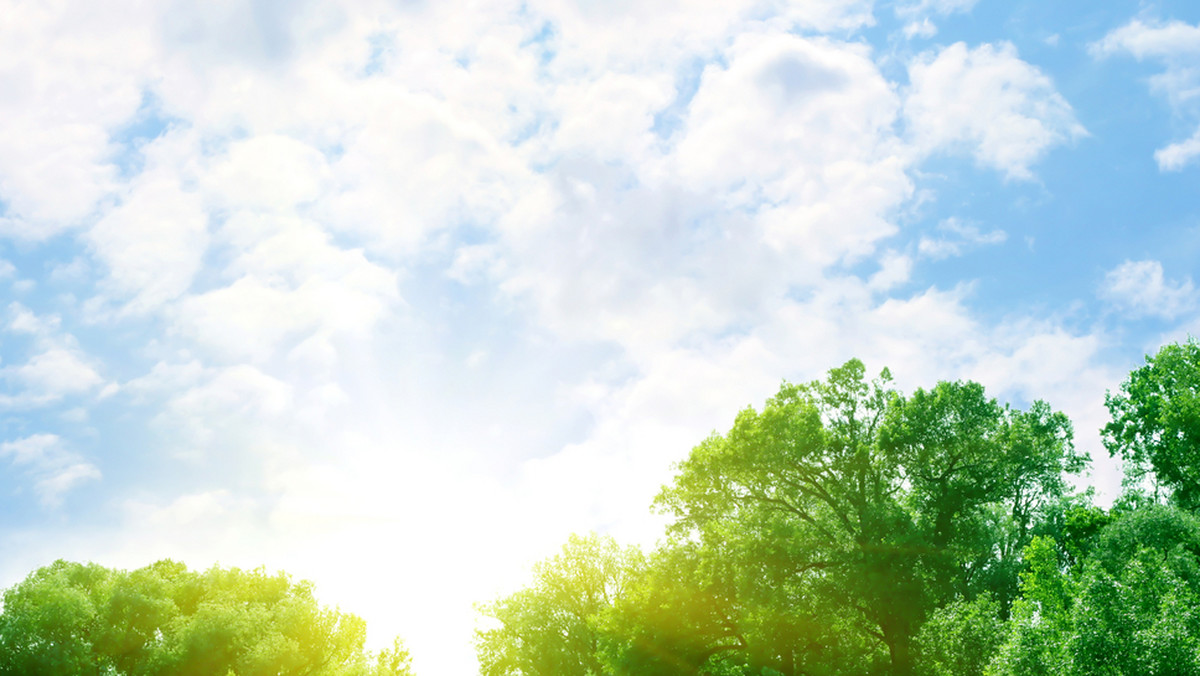 Atlantyda odnaleziona? - Facet