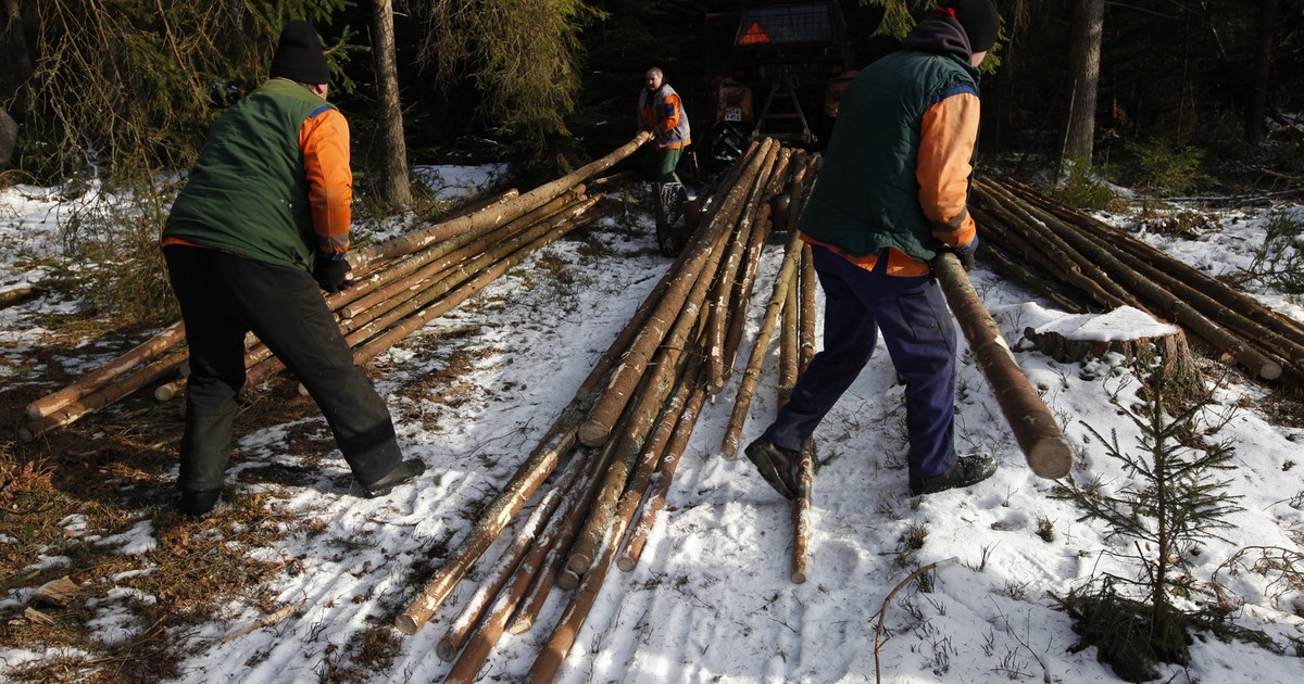 IKEA bojkotuje polskie drewno!