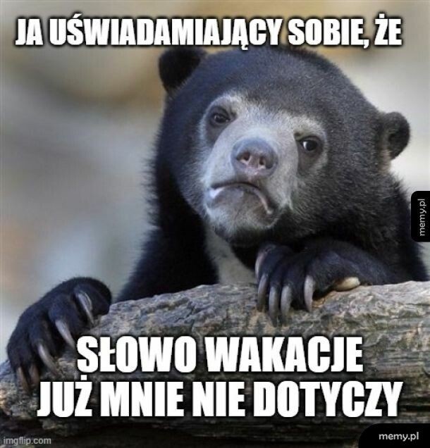 Najlepsze memy o wakacjach 2024. Koniecznie zobacz przed urlopem! - Kobieta Najlepsze memy o wakacjach 2024. Koniecznie zobacz przed urlopem! - Kobieta