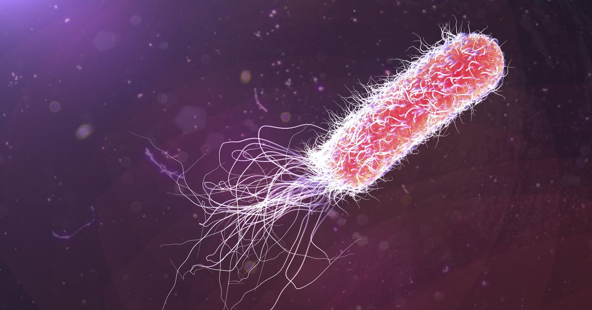 Czym jest lekooporna bakteria pałeczki ropy błękitnej? - Dziennik.pl