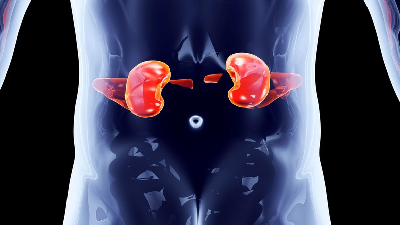 Są nowe, skuteczniejsze leki na raka nerki - Dziennik.pl