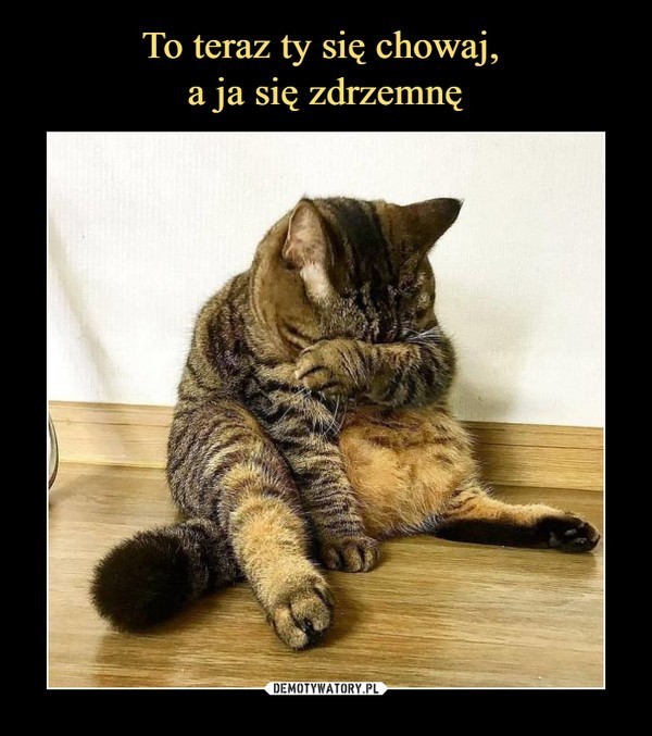 Światowy Dzień Drzemki w Pracy. Zobacz najlepsze memy - Kobieta