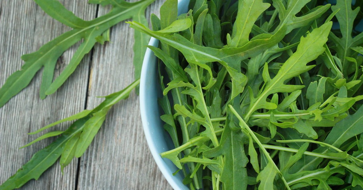 Rukola - właściwości lecznicze, wykorzystanie w kuchni, przepisy