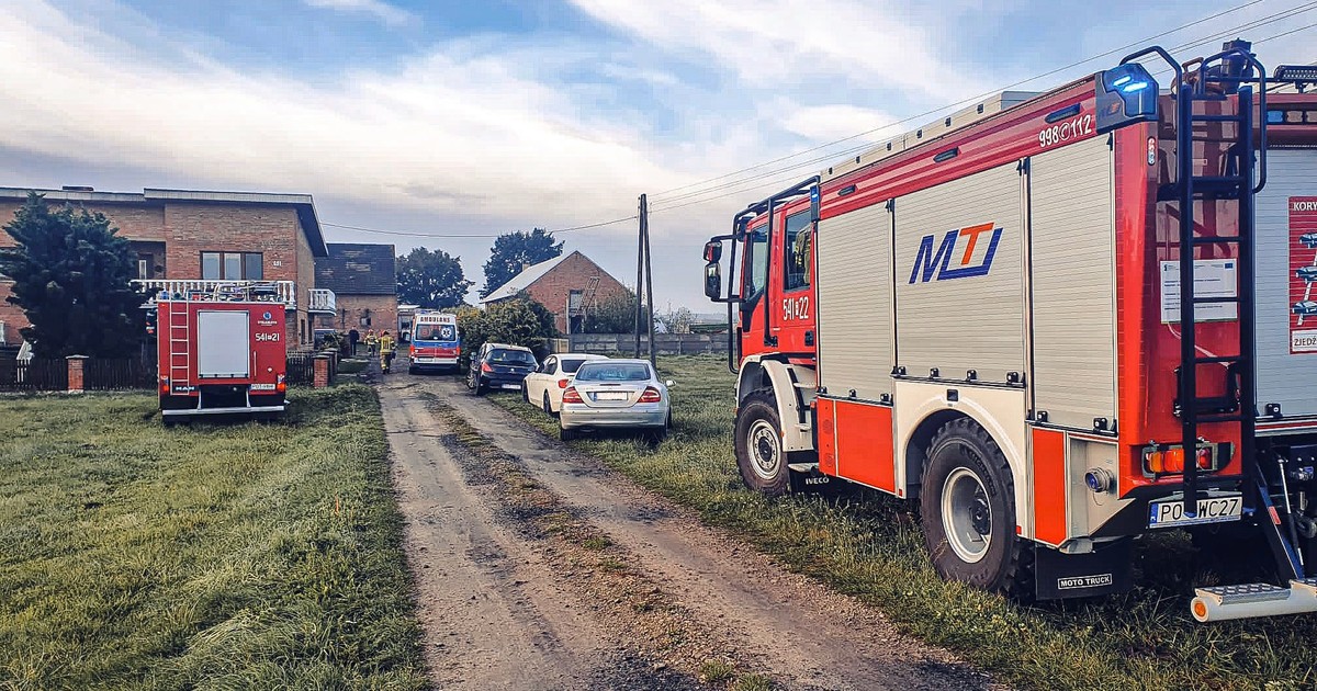 Wielkopolskie. Stado byków zaatakowało rolnika. 36-letni mężczyzna nie żyje