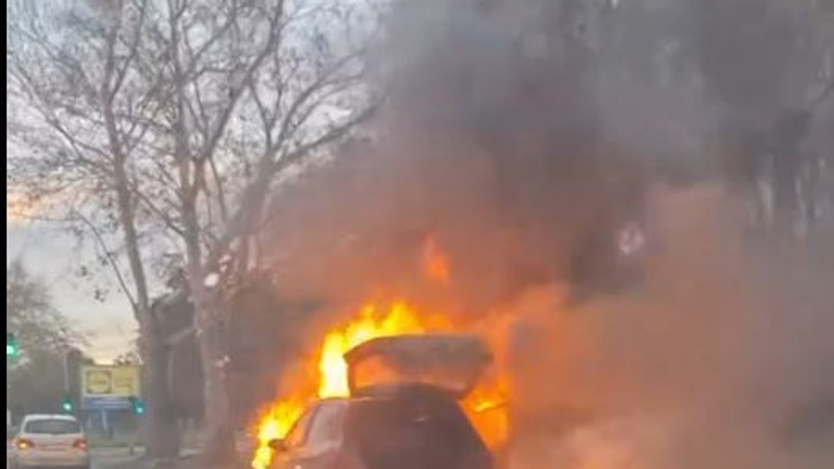 Gori auto na Batajničkom drumu, vatrogasci na licu mesta - Blic