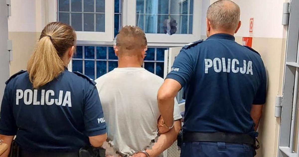 Kopnął pod sklepem kota. Trafi do więzienia - Kobieta