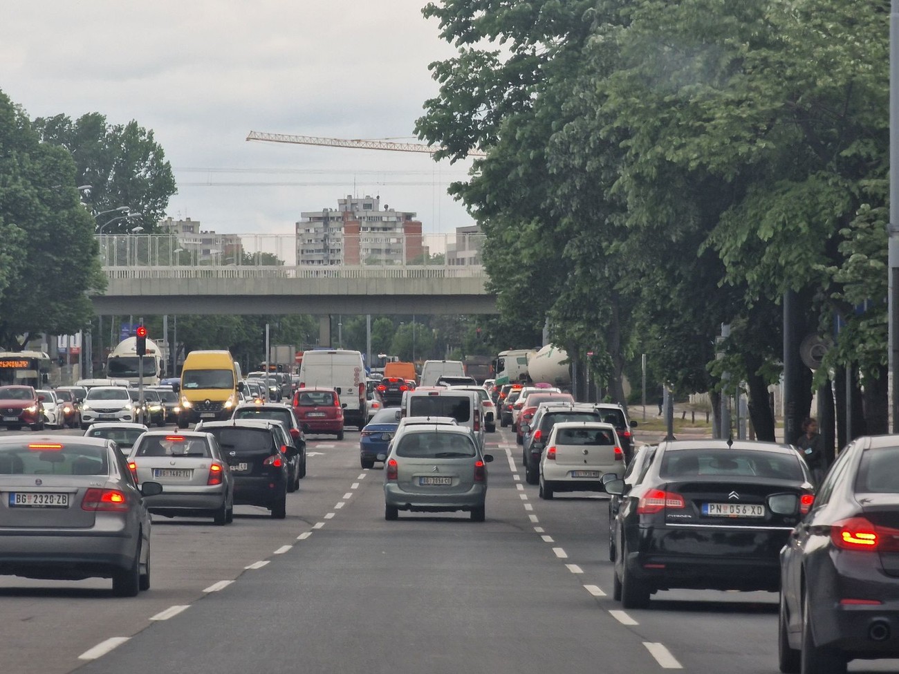 Tek rođena beba na prvoj vožnji kroz Beograd izazvala osmehe - Blic