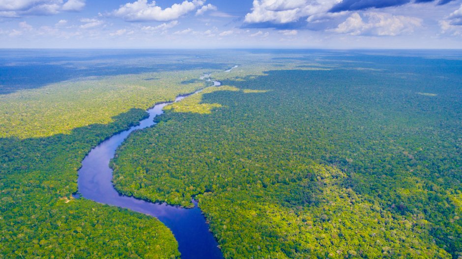 Czterodniowy Tydzień Pracy Sukcesem Wycinka W Amazonii Spada I