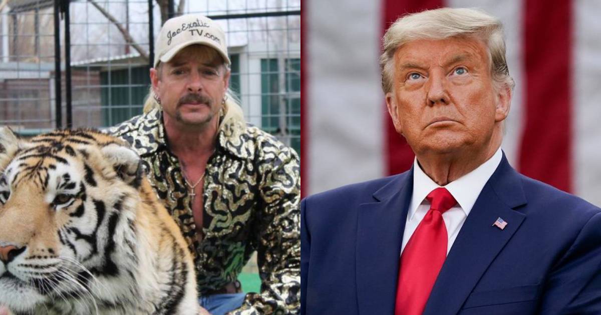 Joe Exotic: Donald Trump może ułaskawić Króla Tygrysów - Noizz