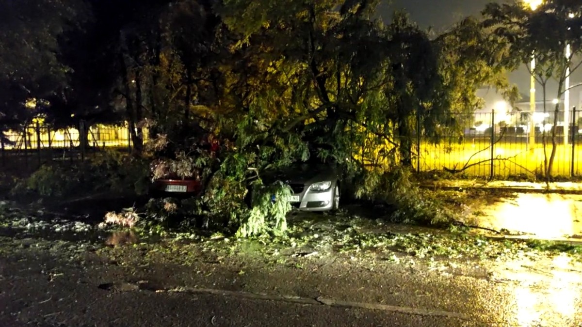 Grana probola šoferšajbnu kao glogov kolac! Jeziva scena u Novom Sadu ...