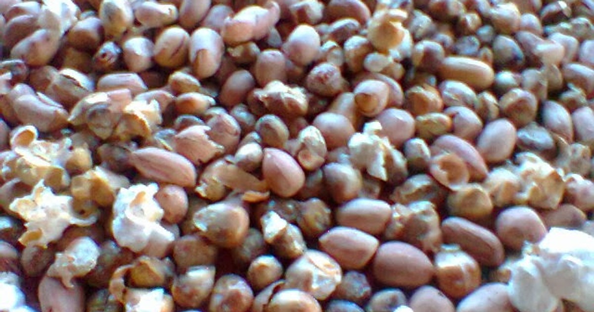 DIY Recipes: How to make mixed roasted corn and groundnuts (Aburo ni ...