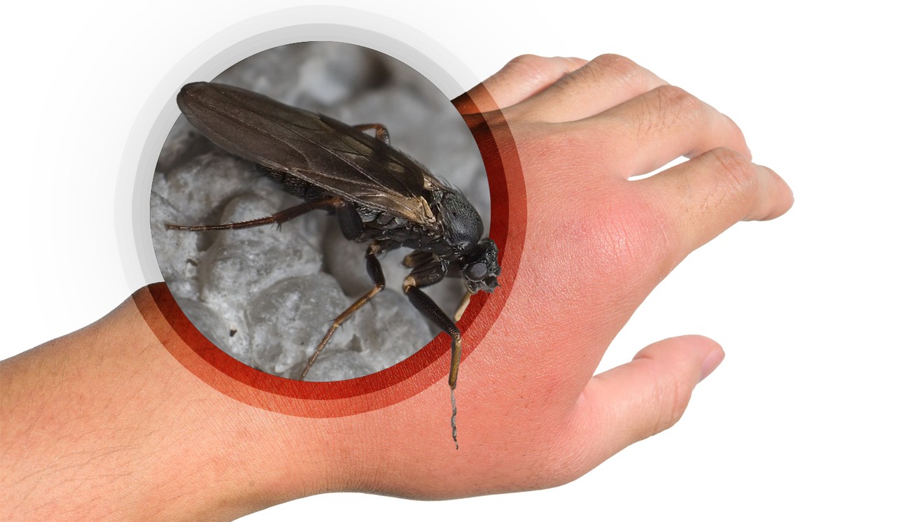 "VIDELI SMO CRNU BUBU I NAKON TOGA KAP KRVI" Opasna "klintonka" ponovo ...