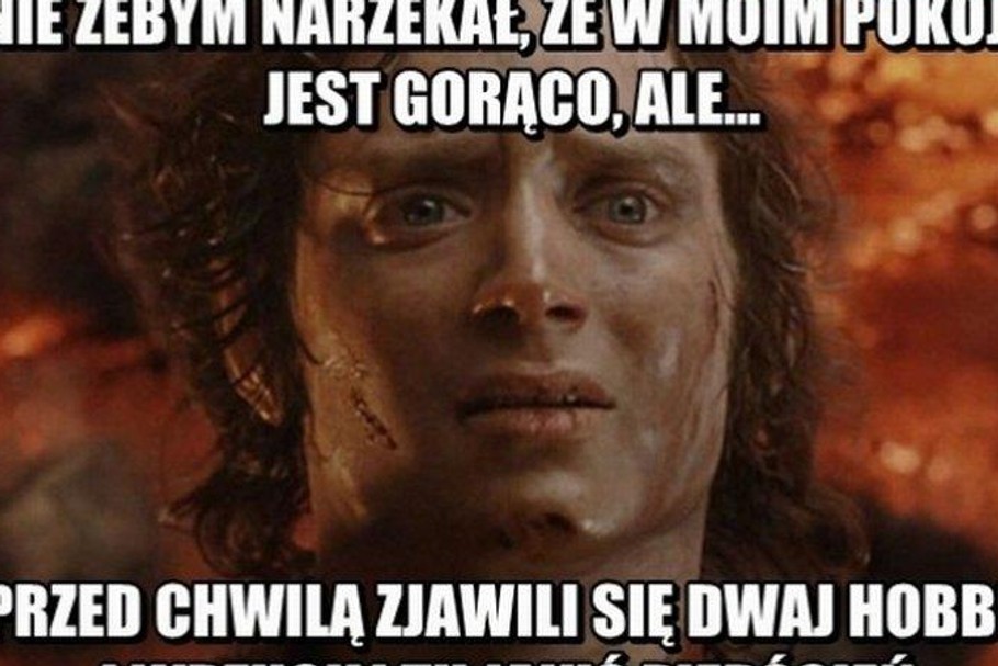 Memy upał pogoda - Styl Życia - Newsweek.pl