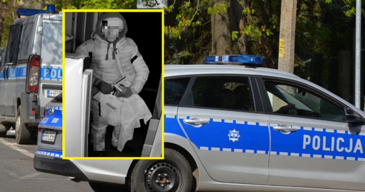 Spalone polskie flagi na Westerplatte. Są zarzuty dla podejrzanego ...