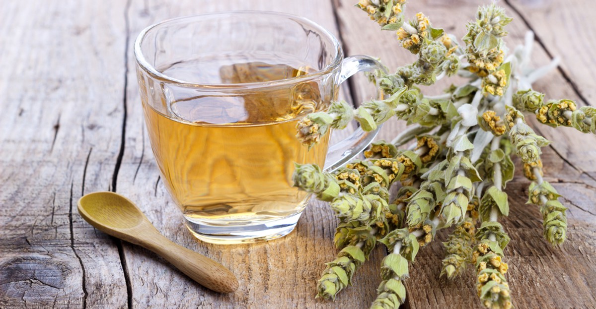 Gojnik - właściwości, wskazania do spożycia, przygotowanie naparu ...