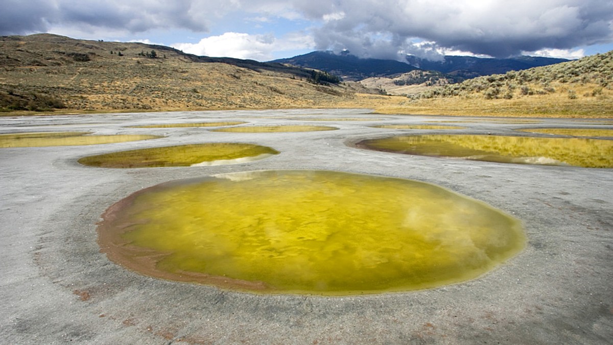 Kanada - Spotted Lake (Kliluk) w Osoyoos - niezwykłe jezioro kolorowych ...