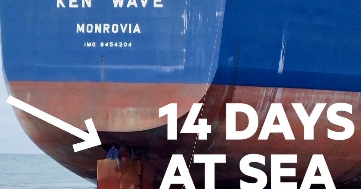 Stowaways survive 14 days at sea clinging to a ship rudder | Business ...