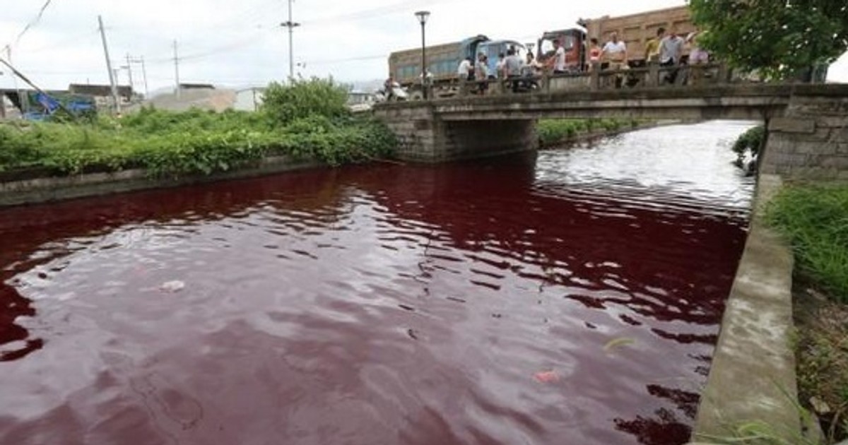 Tajemnicza "rzeka krwi" przepłynęła przez miasto - Wiadomości