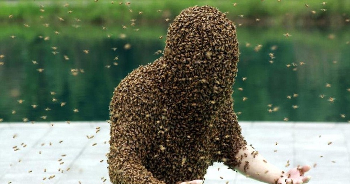 5 world records that are almost impossible to break | Pulse Nigeria