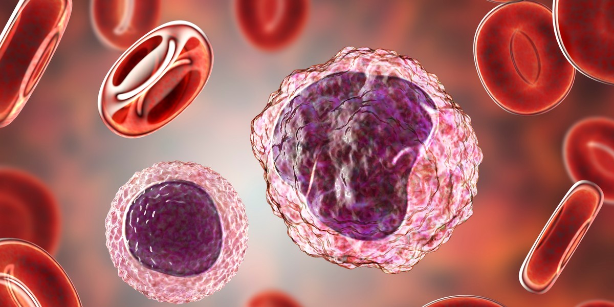 Podwyższone monocyty w ciąży. Co to znaczy? Jaka norma? Co robić? - Rodzina