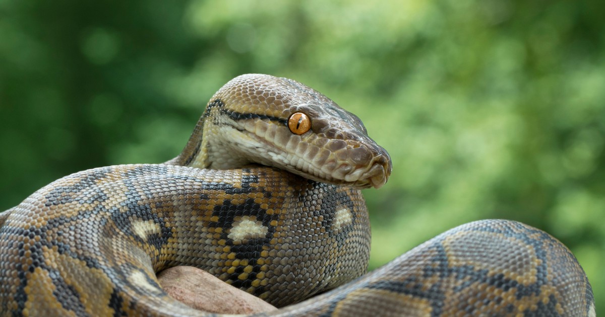 The body of a 54-year-old missing woman was found inside a 22-foot ...