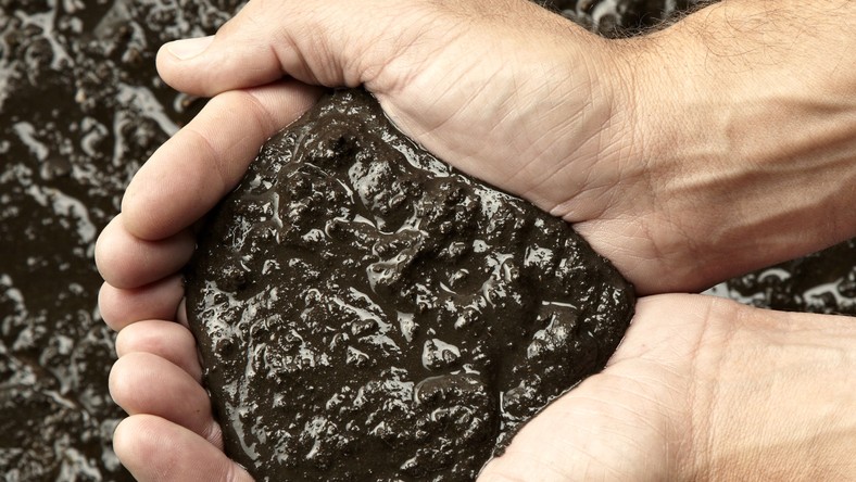 Borowina. Błoto, które leczy - Dziennik.pl