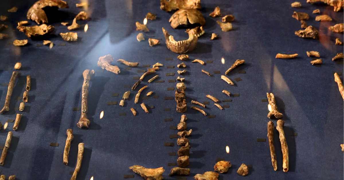 A handful of recent discoveries have shattered anthropologists' picture ...