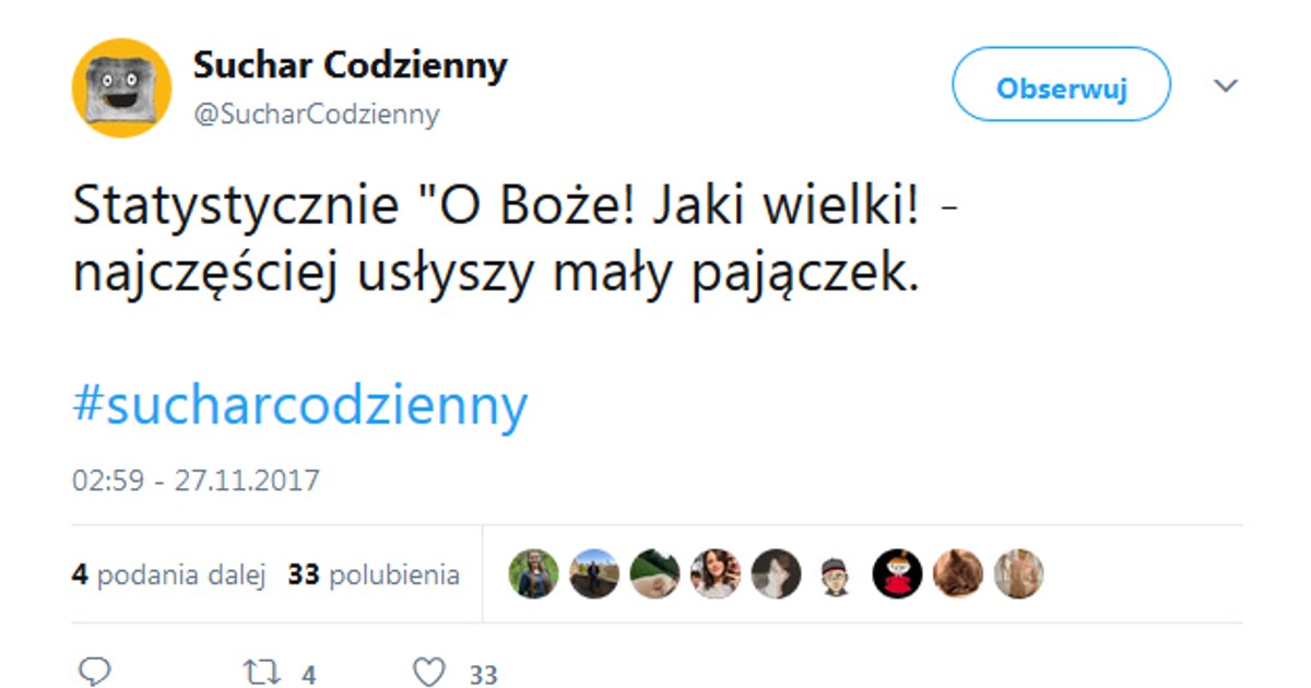 Suchar Codzienny: to oni rządzą w polskim internecie - Facet