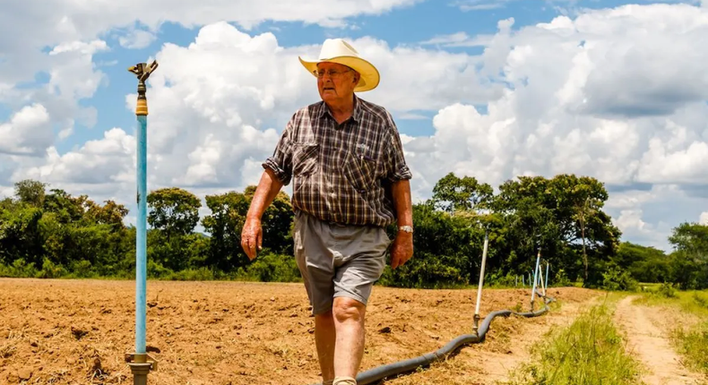 Zimbabwe compensates foreign farmers $146 million as 67 seized farms ...