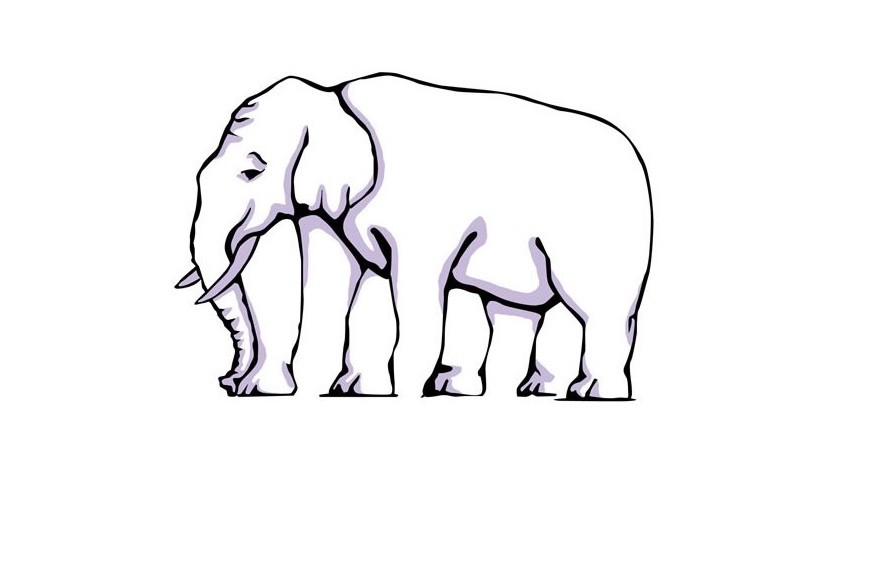 Najciekawsze iluzje optyczne. Aż się kręci w głowie od patrzenia - Kobieta