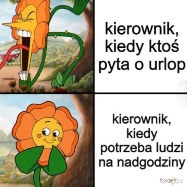 Światowy Dzień Kierownika. Śmieszne memy na relaks przed pracą - Kobieta